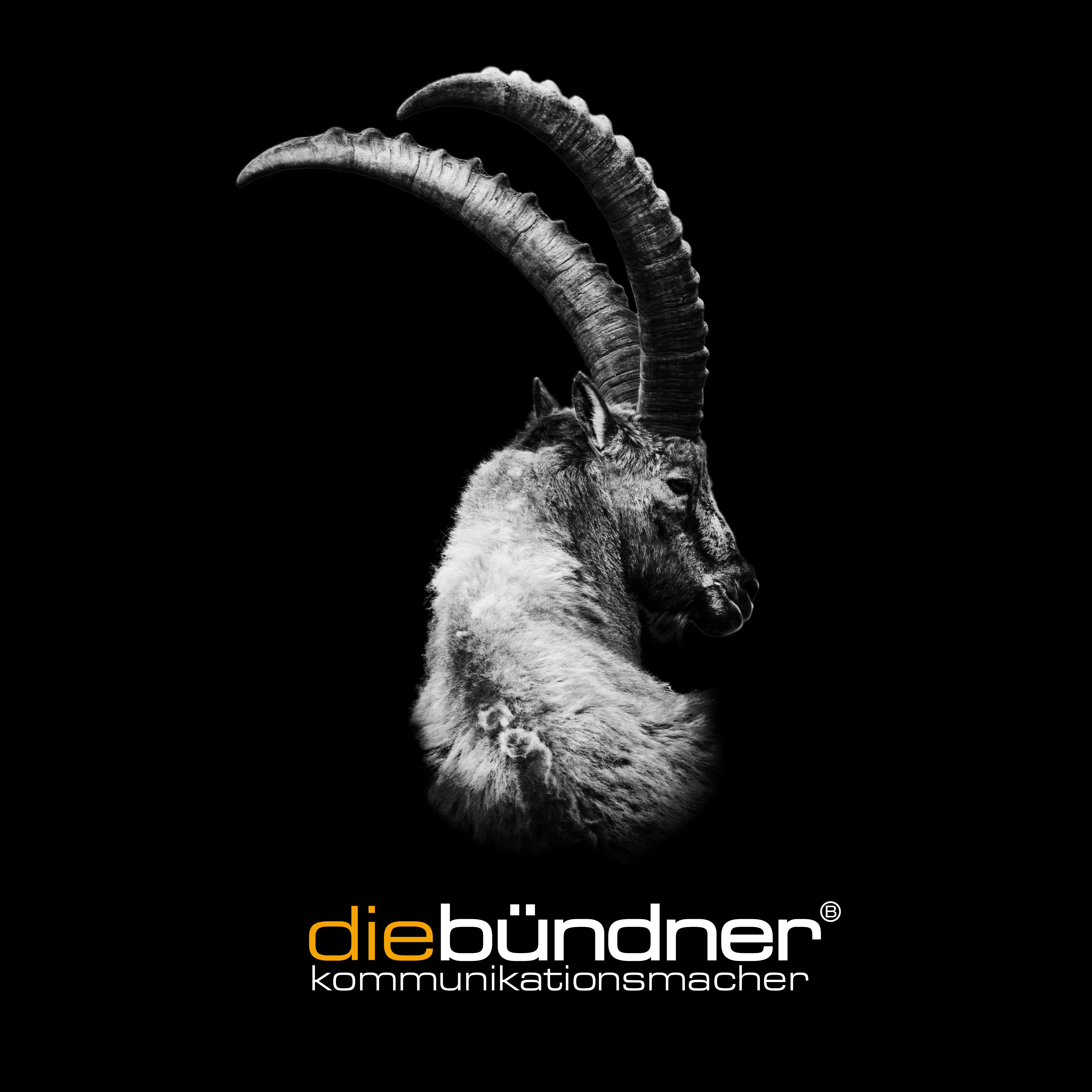 Dieb ndner Kommunikationsmacher Ag Wix Marketplace dieb-ndner-kommunikationsmacher-ag-wix-marketplace